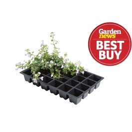 Professional 24 Cell Inserts (Pack of 5)