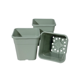 25cm Square Tom Pots Sage (3)