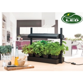 Micro Grow Light Garden LED Black