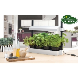 Micro Grow Light Garden LED White